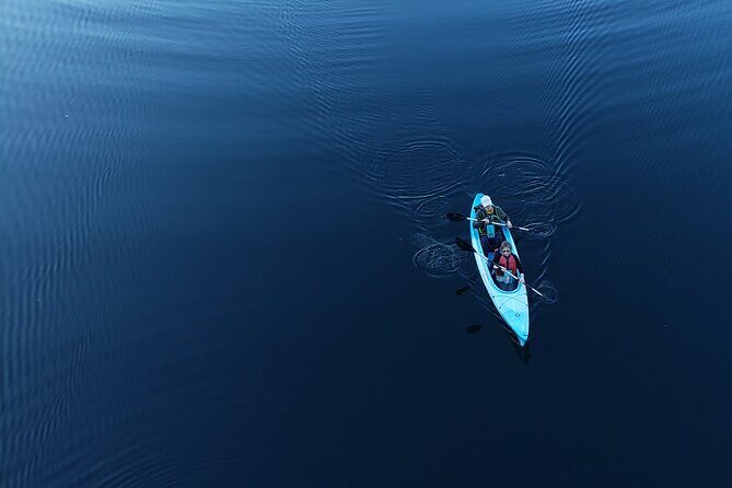 Half Day Kayak Rental on Sebago Lake - Who Will Enjoy This Tour?