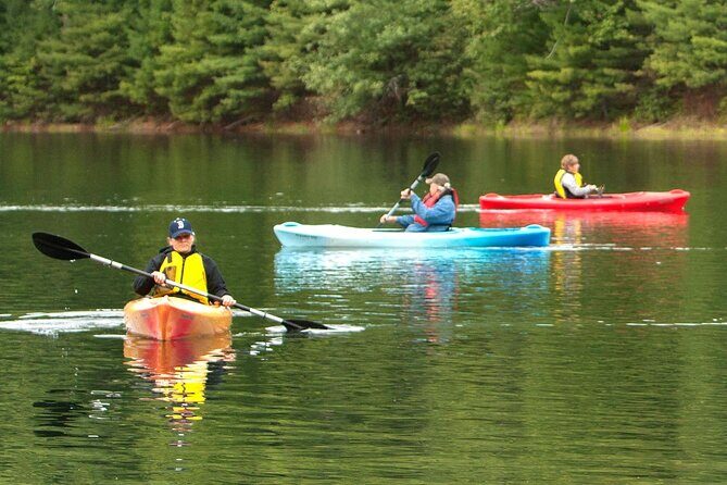 Half Day Kayak Rental on Sebago Lake - The Sum Up
