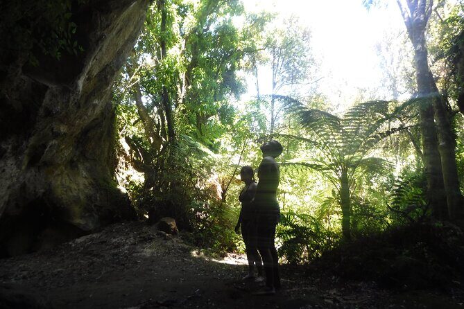 Half-Day Kayak to the Maori Rock Carvings in Lake Taupo - FAQ