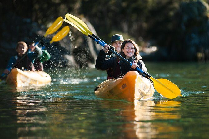 Half-Day Kayak Tour on Lake Wanaka - Who Will Love This Tour?