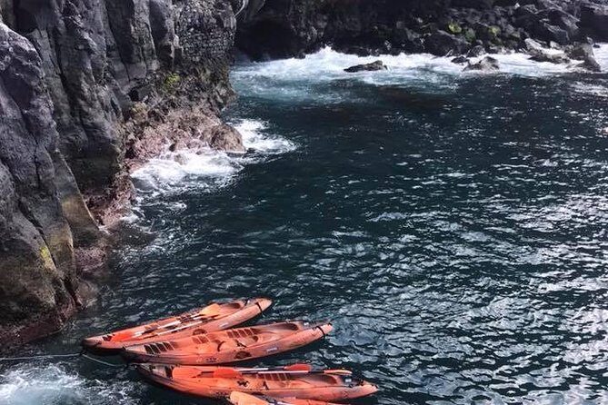 Half day kayak tours - What You Can Expect During the Tour