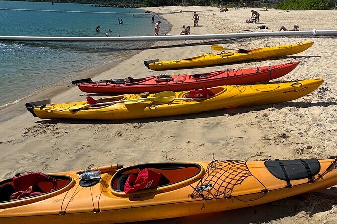 Half Day Kayak Turtle Tour - Frequently Asked Questions