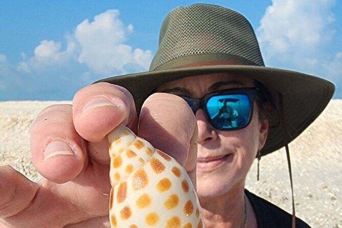 Half Day Keewaydin Shelling and Beach Adventure (Private) - Pricing and Value