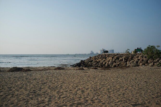 Half Day Kochi City Tour and a Kathakali Classical Dance Performance - The Practical Side: What You Need to Know