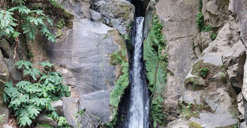 Half Day Lagoa do Fogo 4X4 tour and Gin Library - Exploring the Itinerary: What You Can Expect