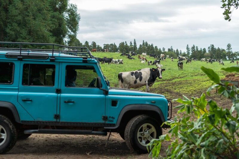 Half Day Lagoa do Fogo 4X4 tour and Gin Library - In-Depth: Why This Tour Shines
