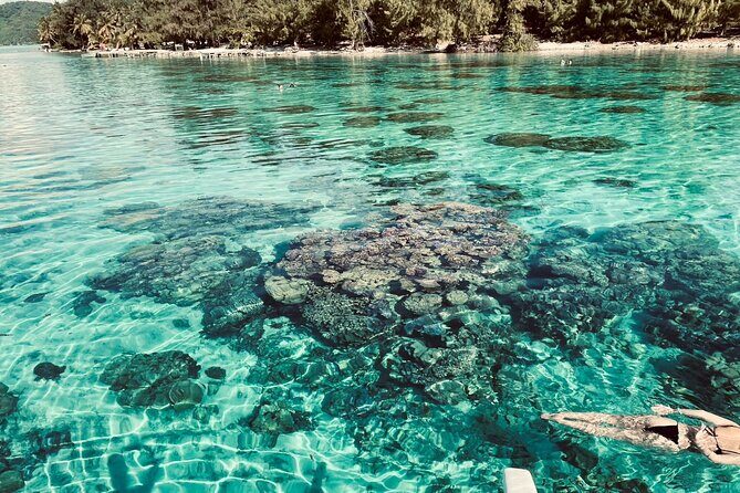 Half day lagoon safari tour in Bora Bora- Shared tour - What’s Included And What’s Not