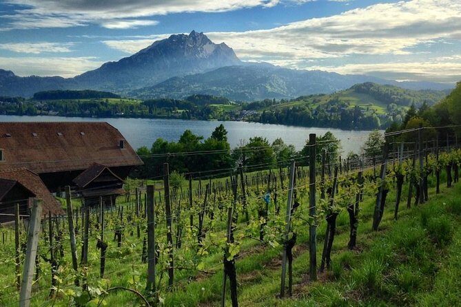 Half-Day Lake Lucerne Country Walk - Why Choose the Half-Day Lake Lucerne Country Walk?