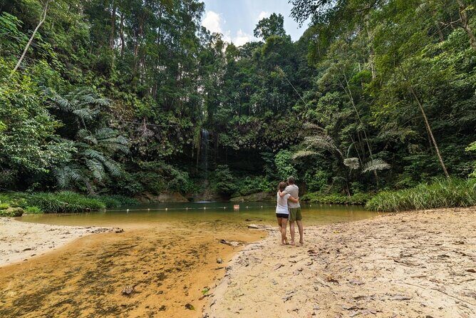 Half-Day Lambir Hills National Park Tour from Miri - Discover the Wilderness of Lambir Hills National Park from Miri