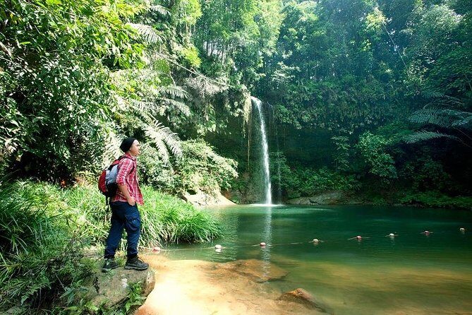 Half-Day Lambir Hills National Park Tour from Miri - Key Points