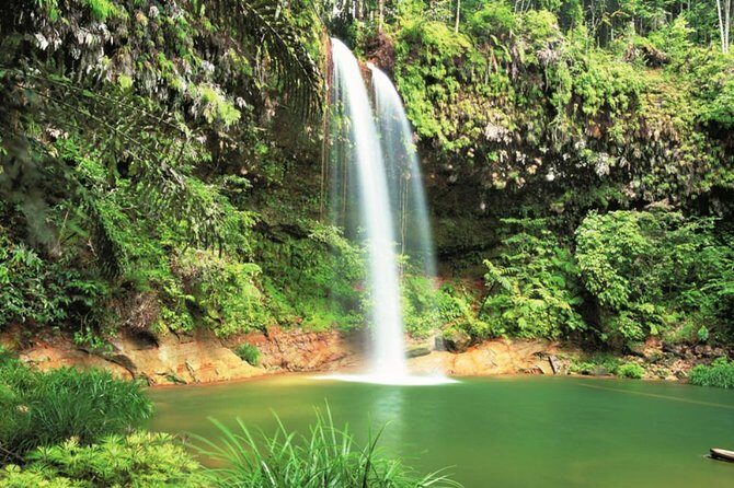 Half-Day Lambir Hills National Park Tour from Miri - Practical Details & Tips for Travelers