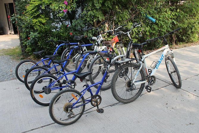 Half-Day Lanna Countryside Cycling Tour in Chiang Mai - The Sum Up