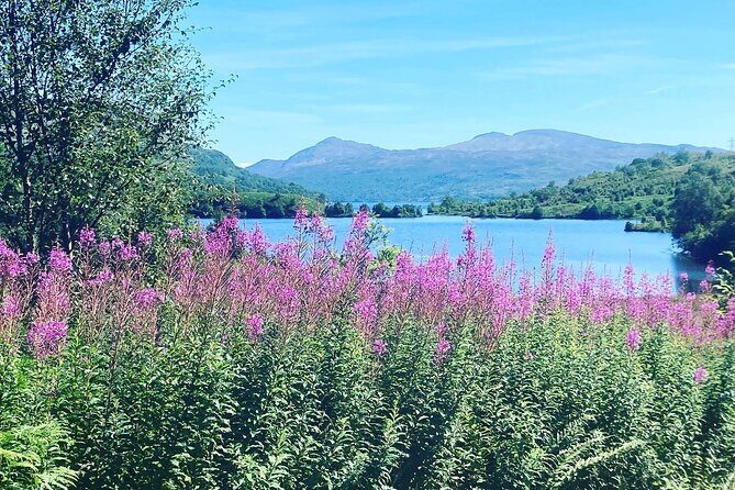 Half Day Loch Katrine Explorer Ebike Tour - Why This Tour Is Worth Considering