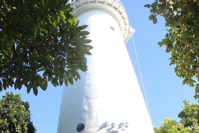 Half Day Low Island and Lagoon Snorkeling from Port Douglas - FAQ: Your Practical Questions Answered