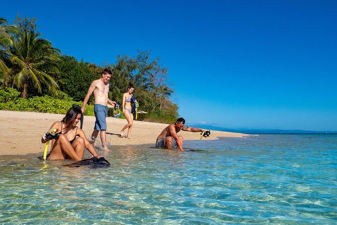 Half Day Low Isles Snorkelling Tour from Port Douglas - Why This Tour Excels: Insights from Reviews