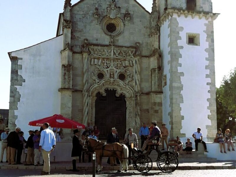 Half-day Lusitanian Horses & Photography Museum private tour - Key Points