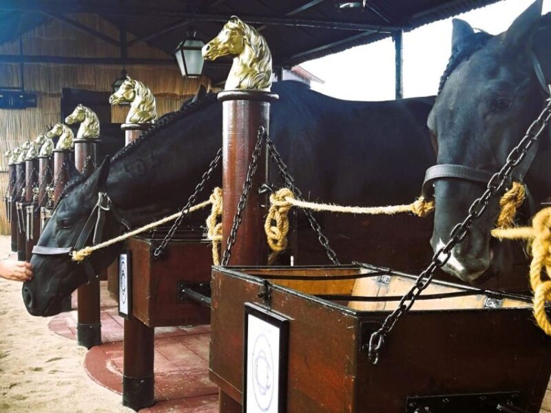 Half-day Lusitanian Horses & Photography Museum private tour - Who Should Consider This Tour?