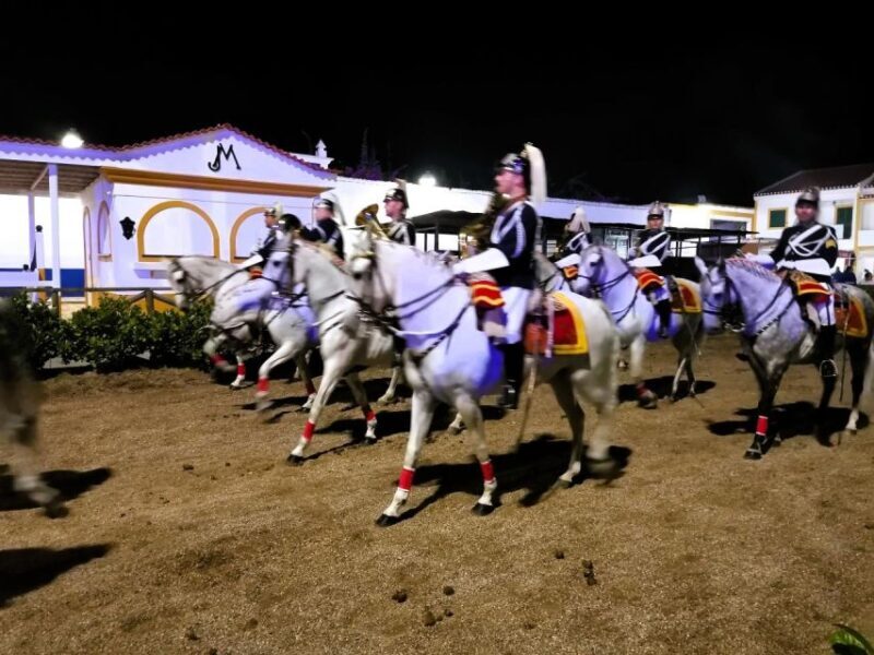 Half-day Lusitanian Horses & Photography Museum private tour - Frequently Asked Questions