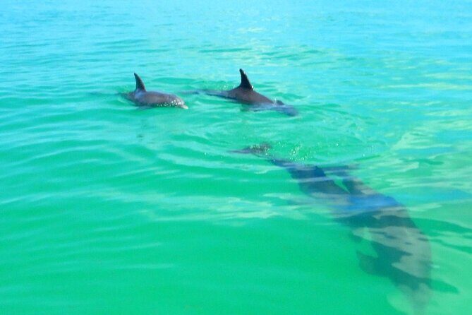 Half Day Luxury Boat Tour in Key West with Snorkeling - FAQ