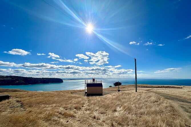 Half Day Luxury Guided Crater Rim Walk - Discovering the Scenic $171.92 Adventure Near Christchurch