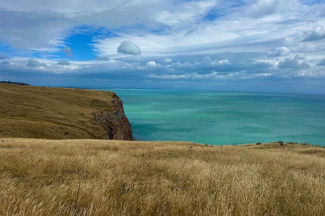 Half Day Luxury Guided Crater Rim Walk - The Sum Up