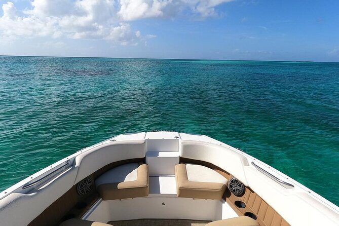 Half-Day Luxury Private Rose Island Pigs and Turtles Excursion - What Makes This Tour Stand Out