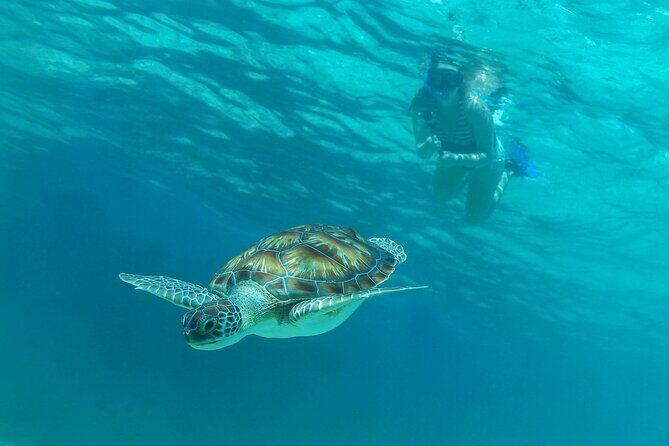 Half-Day Luxury Sailing Experience in Tulum with Open Bar - Who Will Love This Tour?