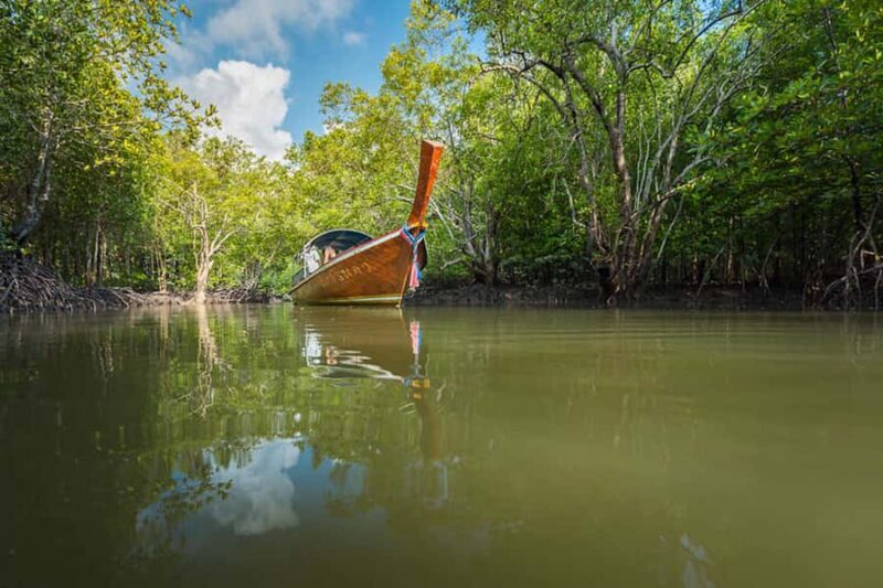 Half Day Mangrove Forest Boat Tour with Lunch or Dinner - The Experience at a Glance