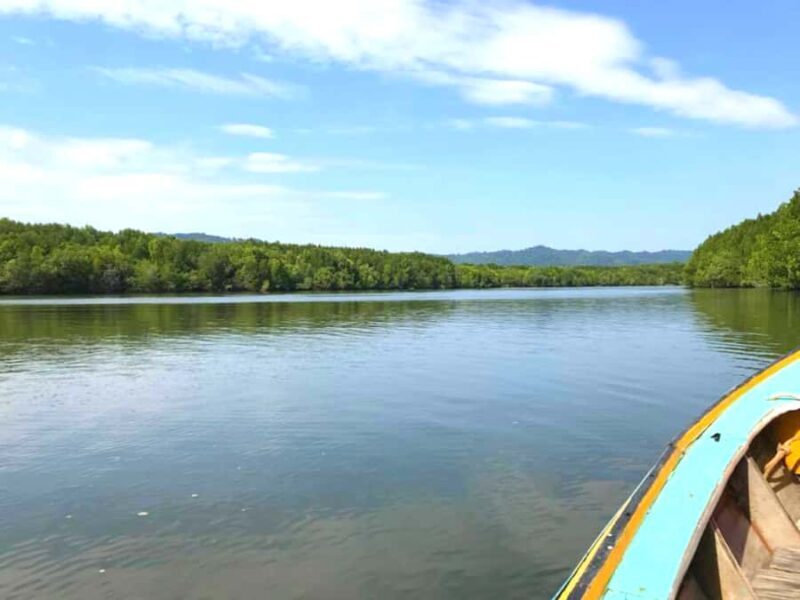 Half Day Mangrove Forest Boat Tour with Lunch or Dinner - Who Should Consider This Tour?
