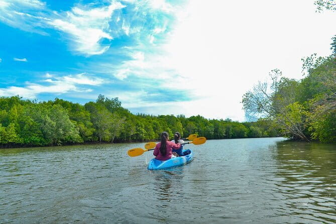Half Day Mangrove Kayaking Adventure Tour From Koh Lanta - What the Reviews Say (Based on Available Feedback)