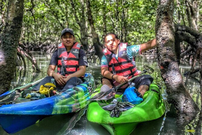 Half-Day Mangrove Kayaking in Langkawi - An In-Depth Look at the Langkawi Mangrove Kayaking Tour
