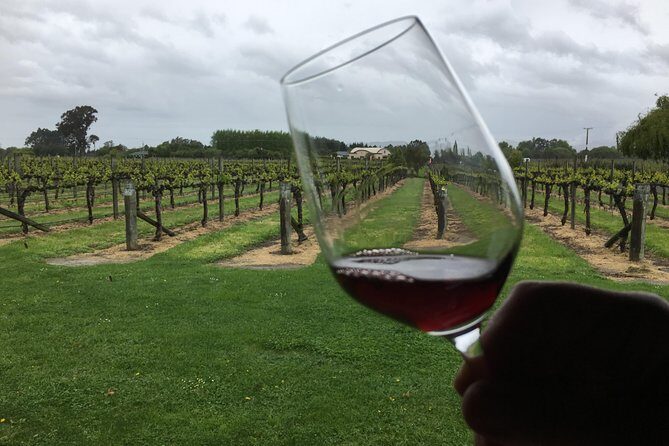 Half-Day Marlborough Wine Tour & Beer Tour - An Overview of the Tour