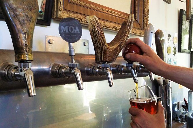 Half-Day Marlborough Wine Tour & Beer Tour - Who Should Consider This Tour?