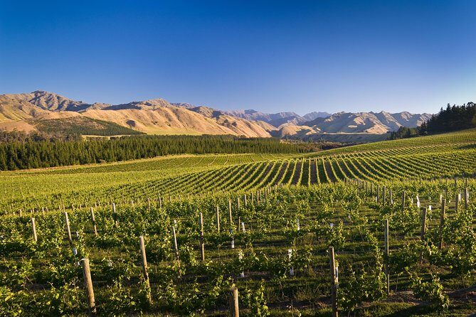 Half-Day Marlborough Wine Tour & Beer Tour - The Sum Up