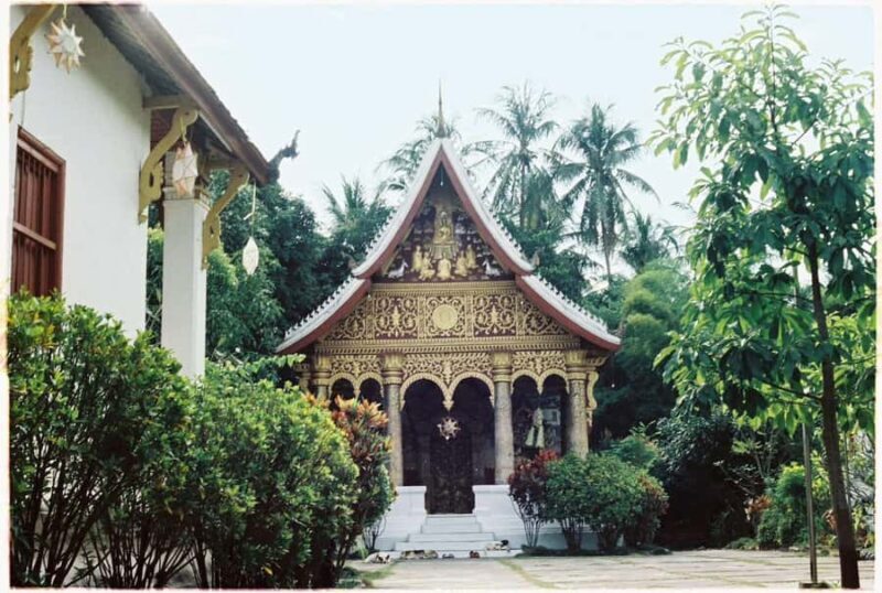 Half Day Mekong Cruise to Pak Ou Caves (Morning / Afternoon) - Introduction: A Balanced Look at the Half-Day Mekong Cruise to Pak Ou Caves