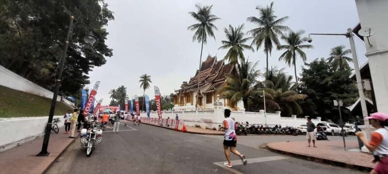 Half Day Mekong Cruise to Pak Ou Caves (Morning / Afternoon) - What Travelers Need to Know