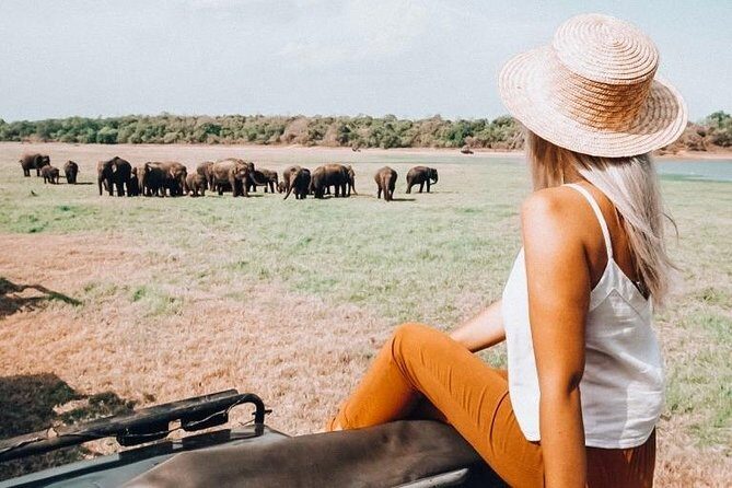 Half Day Minneriya National Park Safari from Habarana - Who Will Love This Safari?