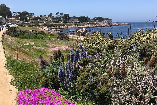 Half Day Monterey Peninsula Sightseeing Tour - The Experience — In Depth