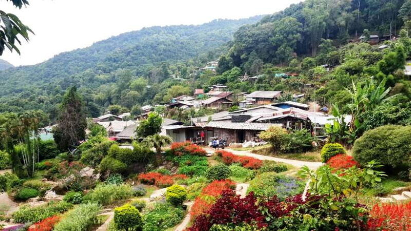Half Day Morning Doi Suthep & Doi PUI MEO Village with Guide - Practical Details to Keep in Mind