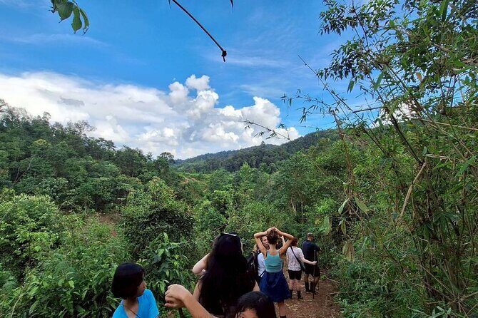 Half Day Morning Elephant Observation Tour in Chiang Mai - Key Points