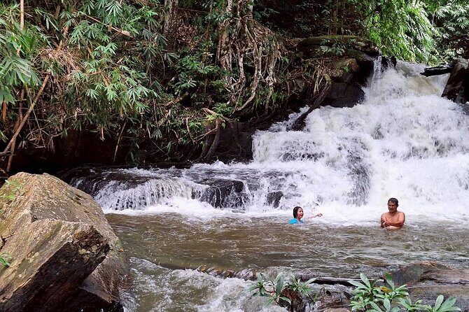 Half Day Morning Elephant Observation Tour in Chiang Mai - Who Should Consider This Tour?