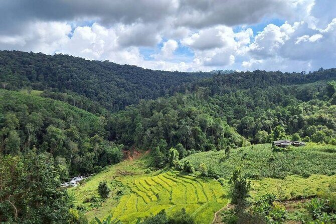 Half Day Morning Elephant Observation Tour in Chiang Mai - Final Thoughts: Why This Tour Is a Wise Choice