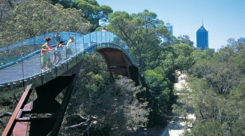 Half-Day Morning Perth & Fremantle City Explorer - An In-Depth Look at the Itinerary