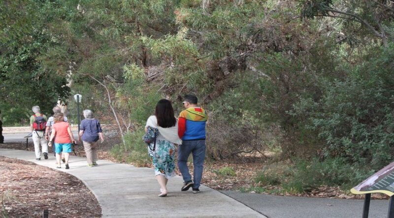Half-Day Morning Perth & Fremantle City Explorer - Who’s This Tour For?