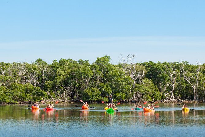 Half-Day Morning Trip from Key West with Kayaking and Snorkeling - What Makes This Experience Special?