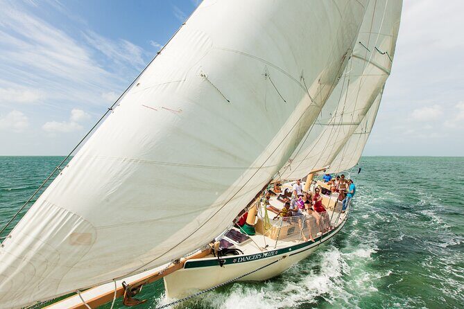 Half-Day Morning Trip from Key West with Kayaking and Snorkeling - Practicalities: Pricing, Group Size, and Booking