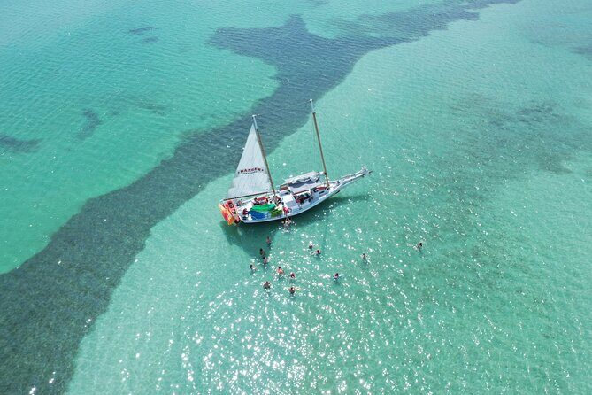Half-Day Morning Trip from Key West with Kayaking and Snorkeling - Who Will Love This Tour?