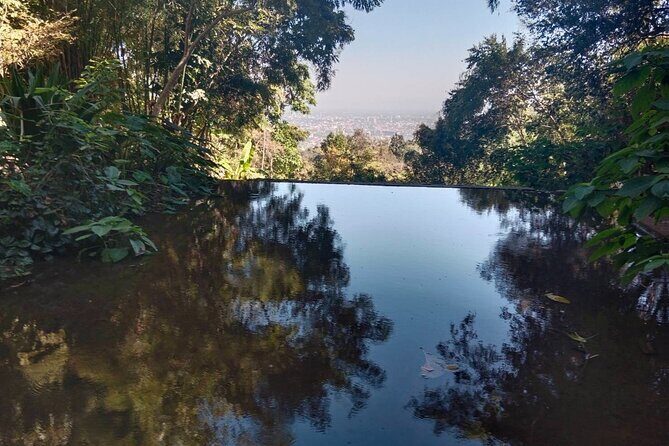 Half Day Morning Wat Pha Lat & Wat Phra That Doi Suthep Tour - Concluding Thoughts: Who Will Love This Tour?