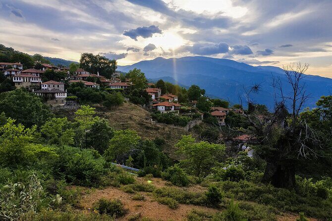 Half-day Mount Olympus Sunset Tour - Key Points