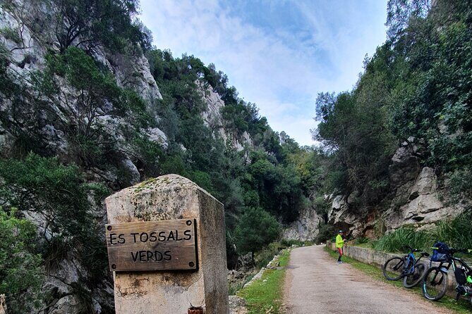 Half-Day Mountain Bike Experience to Serra de Tramuntana, - Key Points
